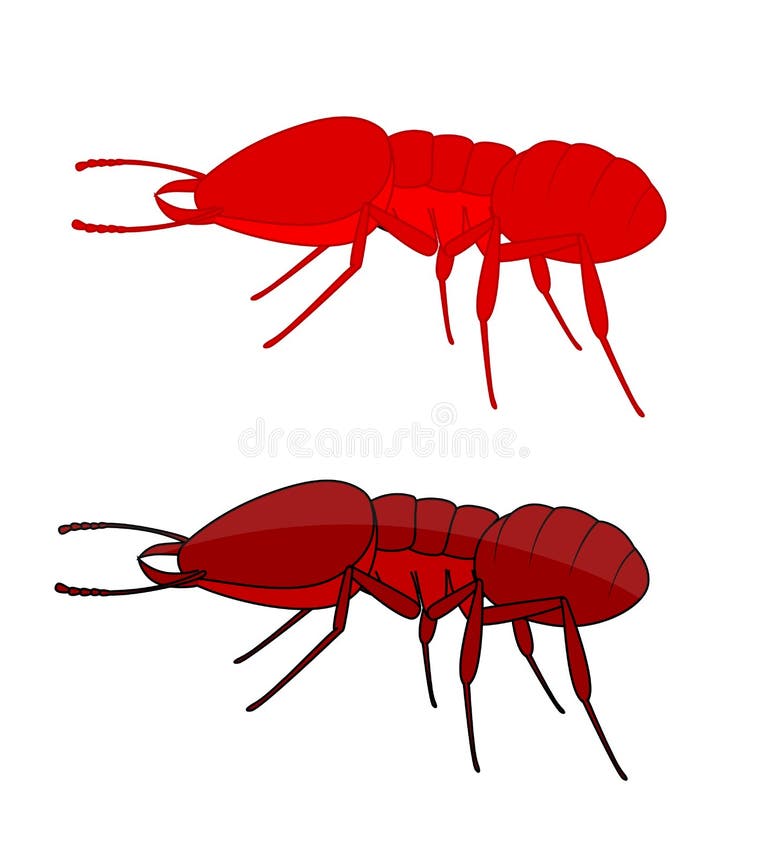 Fire Ants Stock Illustrations – 337 Fire Ants Stock Illustrations ...