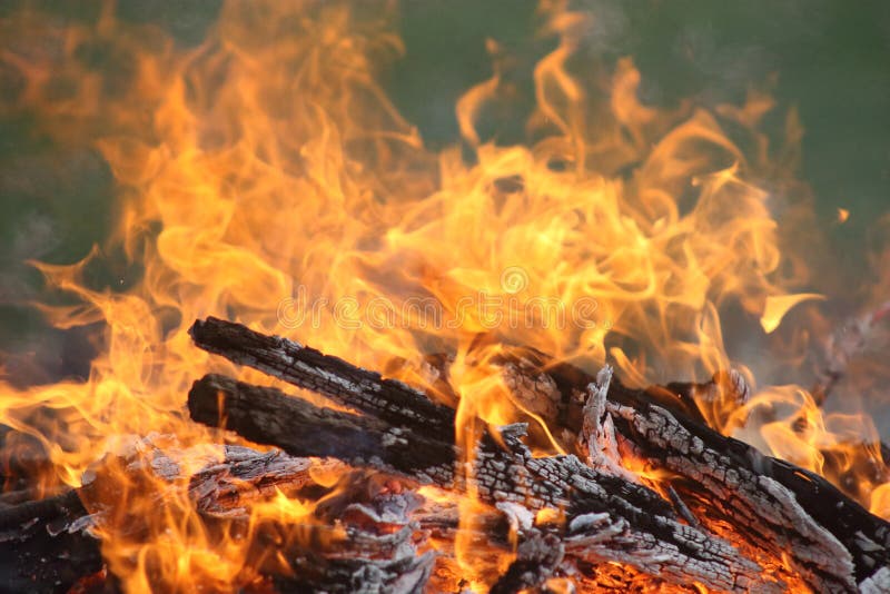 Fire and Ash burning wood stock image. Image of orange - 129787775
