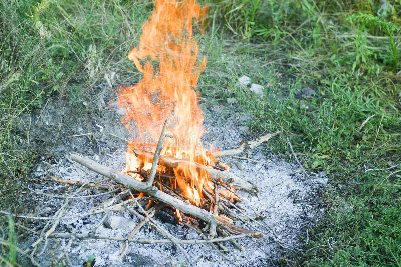 Fire and Ash. Campfire in Summer Hot Day Stock Photo - Image of ...