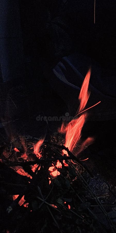 Fire Winter Wood Fire Effect Stock Photo - Image of wood, fire: 168194200