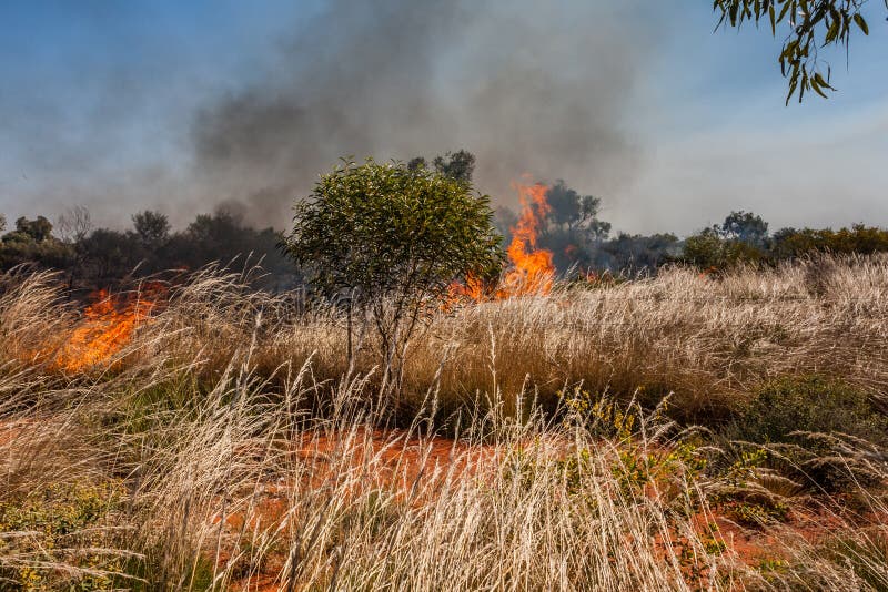 A Fire in the Australian Outback Stock Image - Image of australia ...