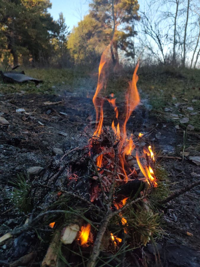 Fire in the autumn forest stock image. Image of sparkler - 200685345