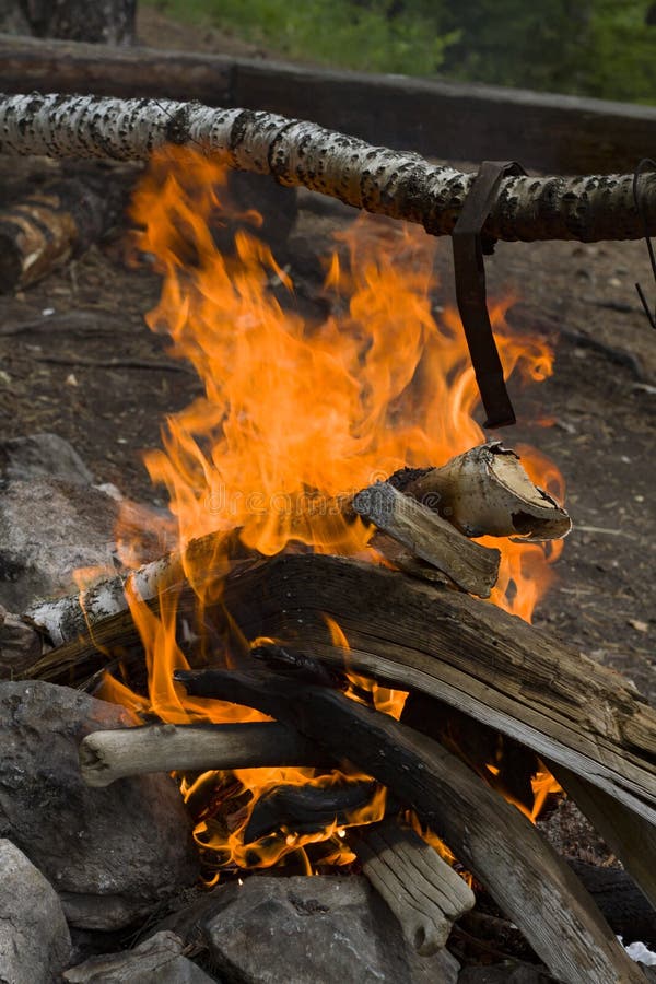 The Fire in the Fire on the Background of Nature Stock Image - Image of ...