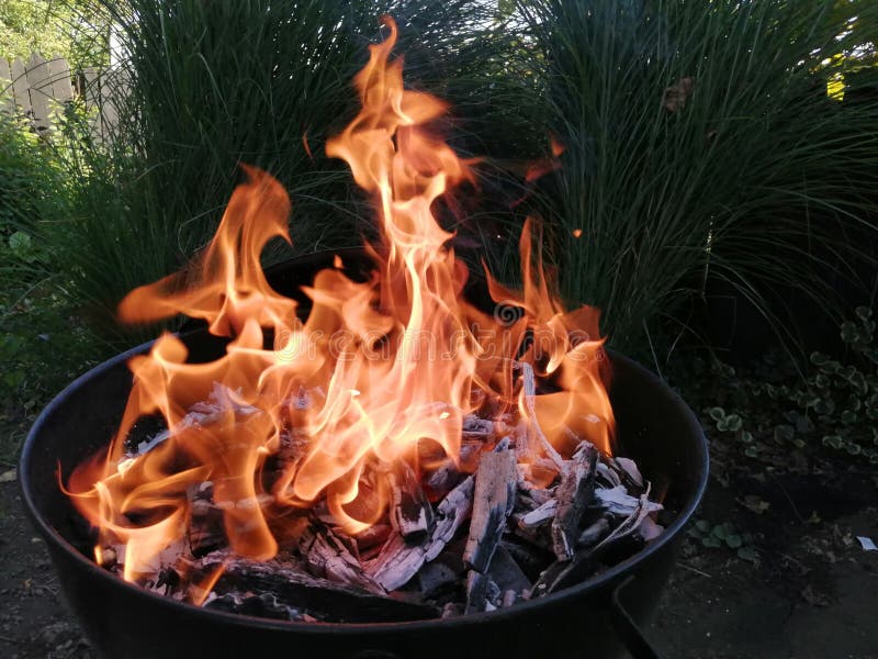 Fire Barbecue grilling stock image. Image of meat, quail - 184798943