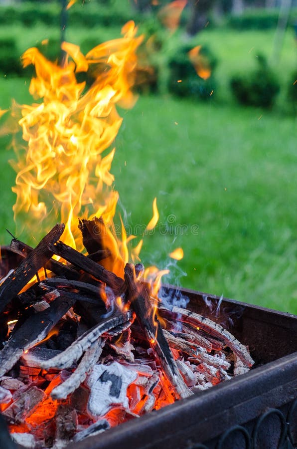 Fire stock photo. Image of outdoors, wooden, embers, barbecue - 31837148