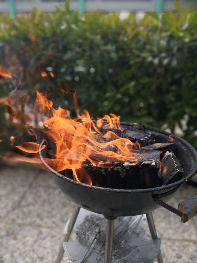 Fire and barbeque stock photo. Image of flame, grilled - 183189824