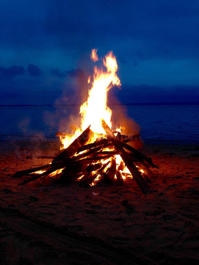 Hippo in the wild stock illustration. Illustration of wildlife - 58650241