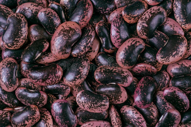 Fire-beans stock photo. Image of beans, food, healthy - 25831524