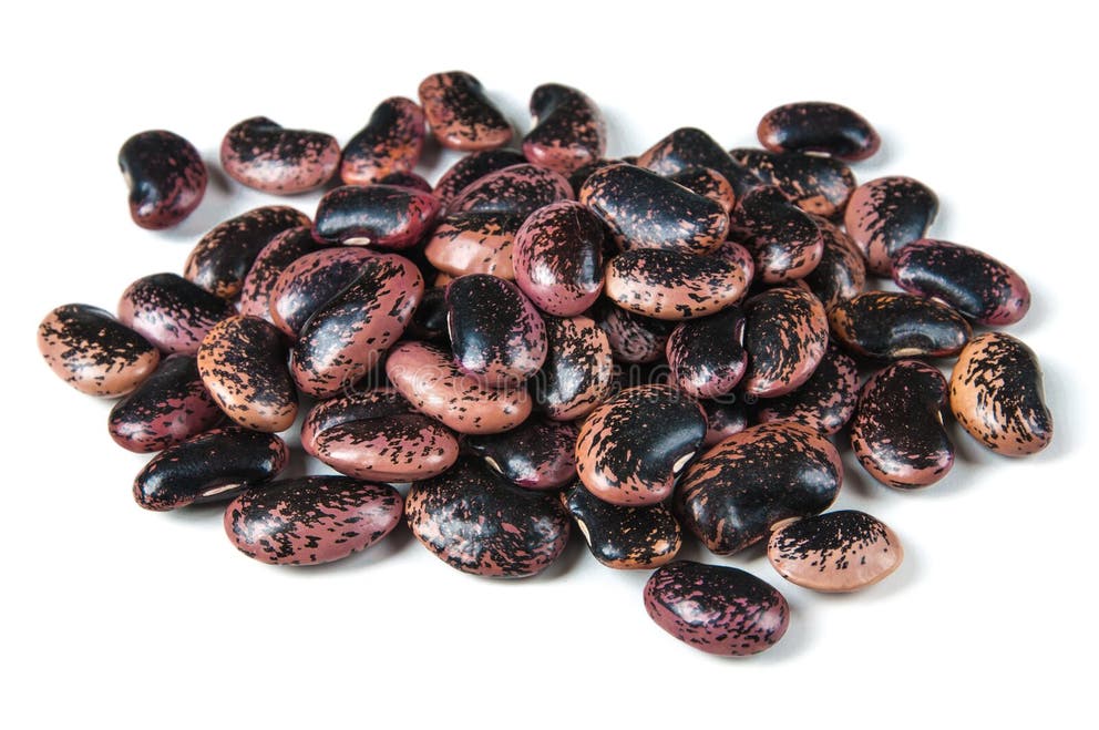 Fire-beans, isolated stock photo. Image of healthy, background - 25831432