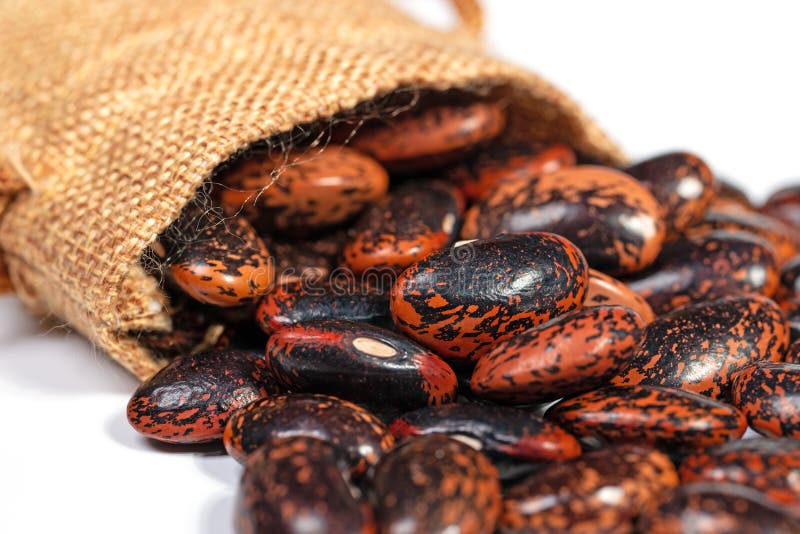 Fire beans in a jute bag stock photo. Image of aliment - 376326440