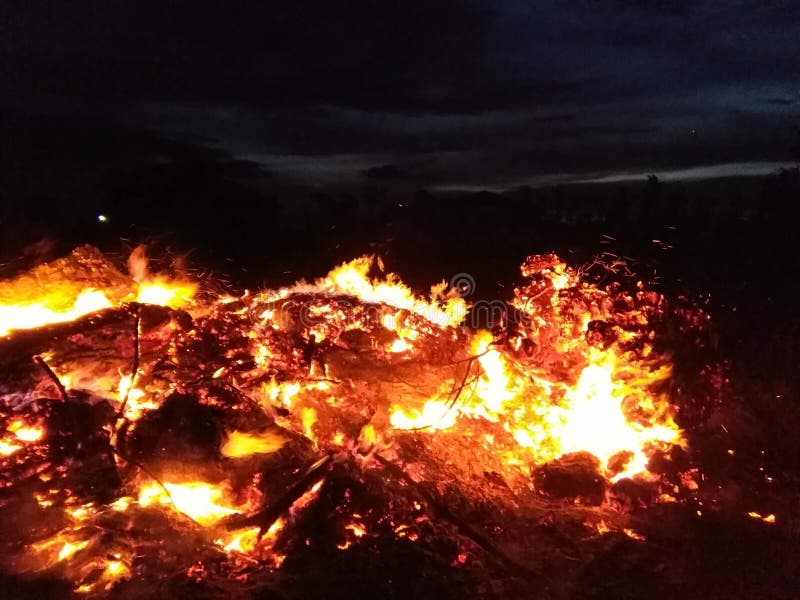 Fire stock photo. Image of distruction, regeneration - 150764092