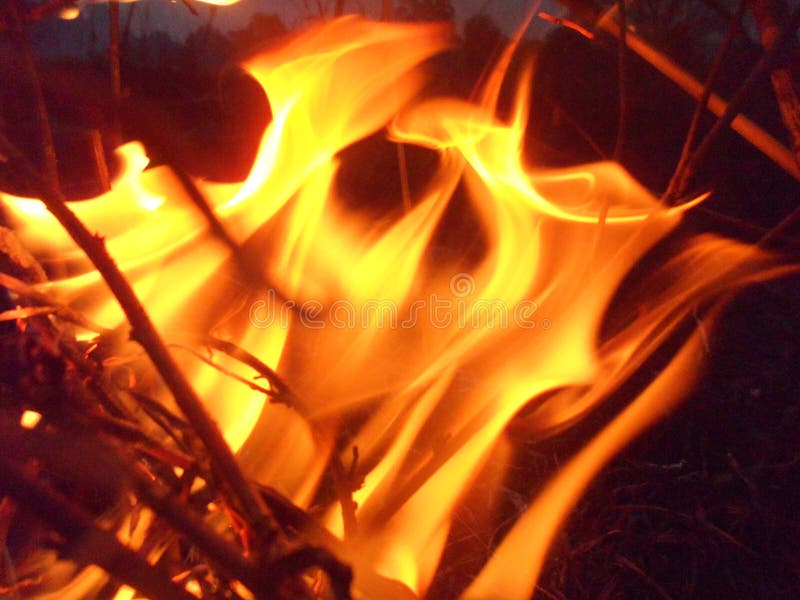 Fire stock image. Image of woods, large, fire, flames - 87077829