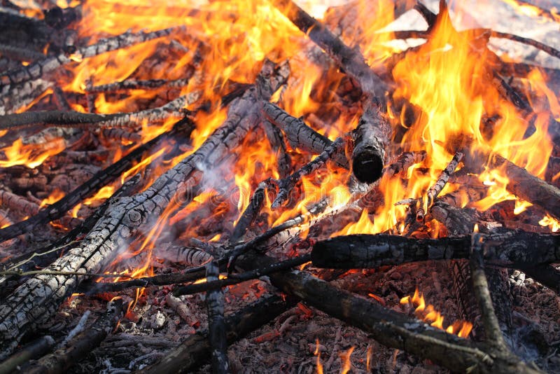 Fire stock photo. Image of locations, large, orange, park - 54216784