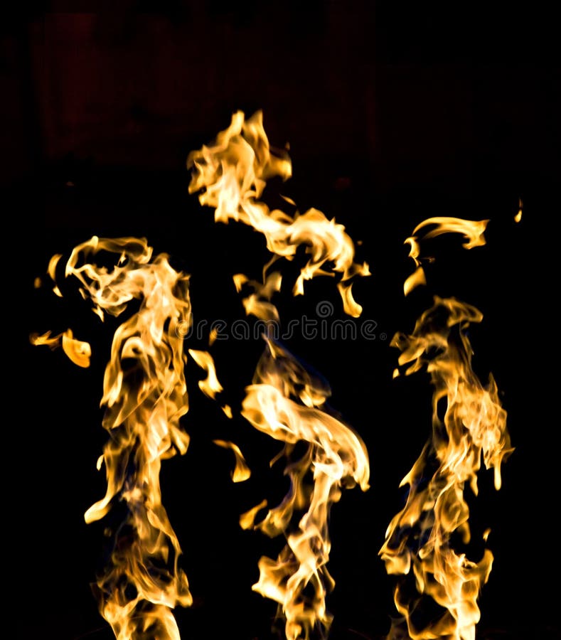 Fire stock image. Image of inferno, nature, black, beautiful - 6968255 Fire stock image. Image of inferno, nature, black, beautiful - 6968255