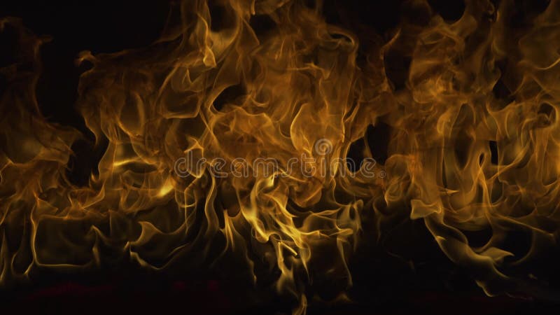 Fire on a Black Background. Abstract Fire Flame Background, Large ...