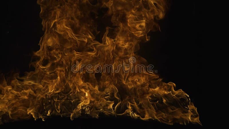 Fire on a Black Background. Abstract Fire Flame Background, Large ...