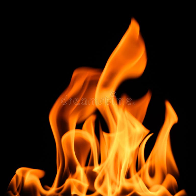 Fire on a Black Background, Burning and Hot Flames, Close View Stock ...