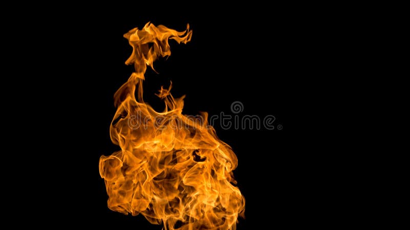 Fire on Black Background. Fiery Patterns. Burning Flame Stock ...