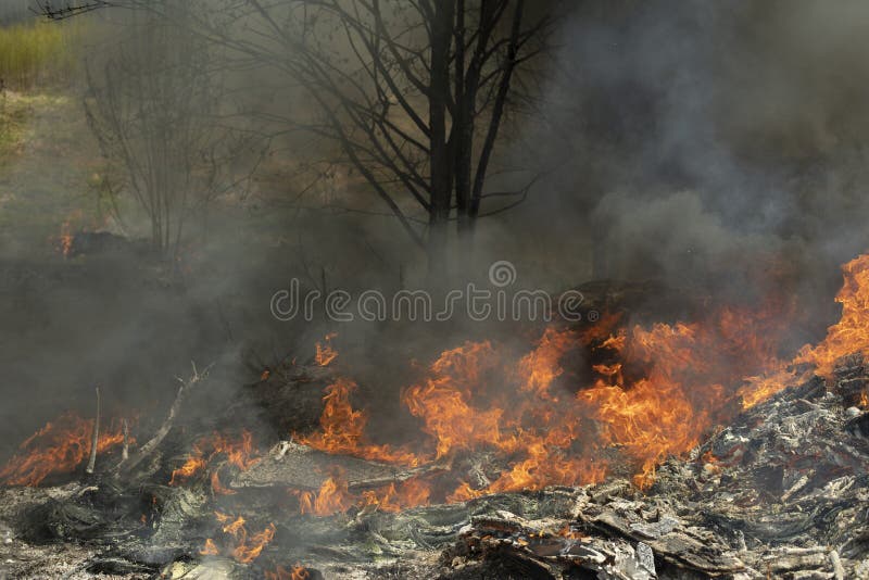 Fire and Black Smoke. Fire in Landfill. Smoke in Forest Stock Image ... Fire and Black Smoke. Fire in Landfill. Smoke in Forest Stock Image ...