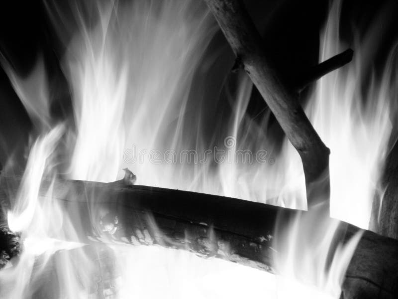 Fire in black and white stock photo. Image of flames - 79220714