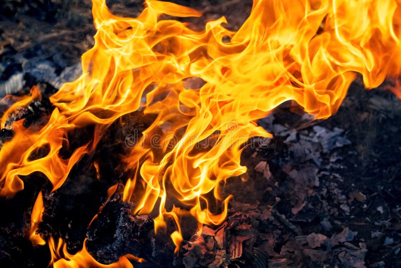 Fire Blaze. Abstract Blaze, Fire on a Black Background, Flame Texture ...