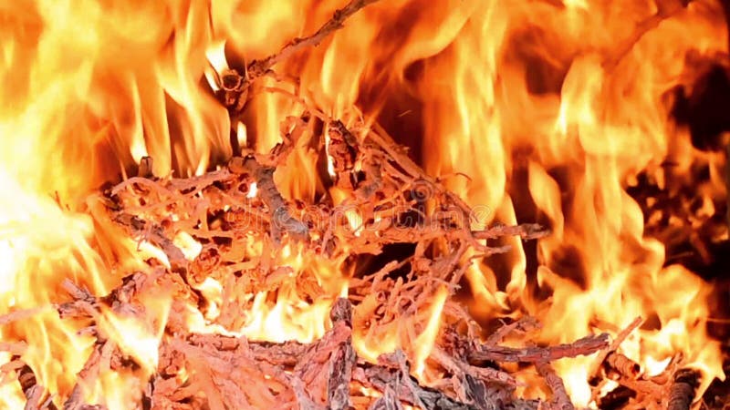 Blaze fire flame stock footage. Video of burning, inferno - 59849712