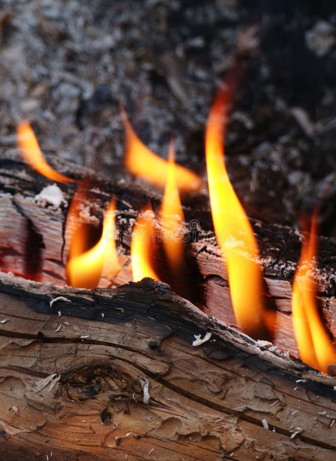 Fire Blaze, Fire, Firing, Flame Stock Image - Image of tree, blaze ...