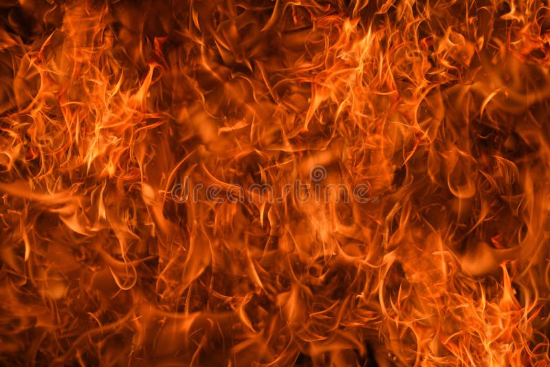 Fire Blaze Flames on Black Background. Fire Burn Flame Isolated ...