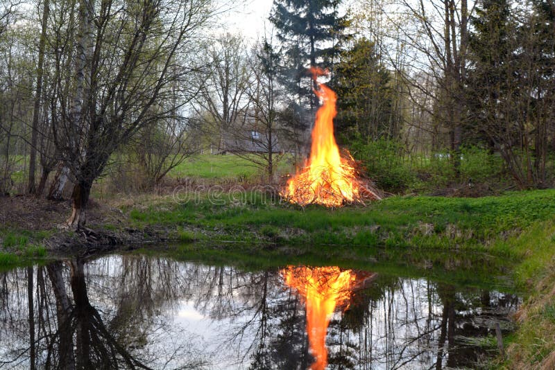 Fire Blazing on Spring Pond Coast Stock Photo - Image of nature ...