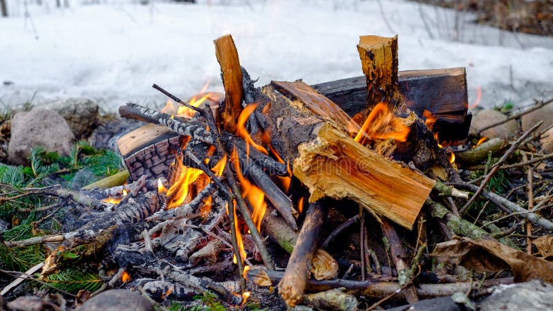 Fire Bonfire Winter Woods Firewood Flames Stock Image - Image of warm ...