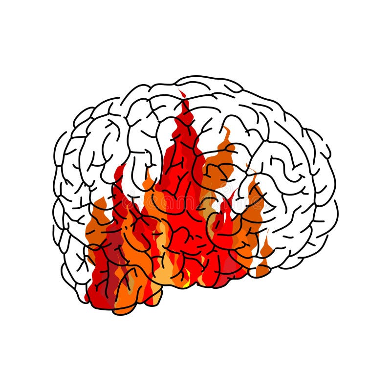 Fire in Brain. Flame in an Anatomical Brains Stock Vector ...