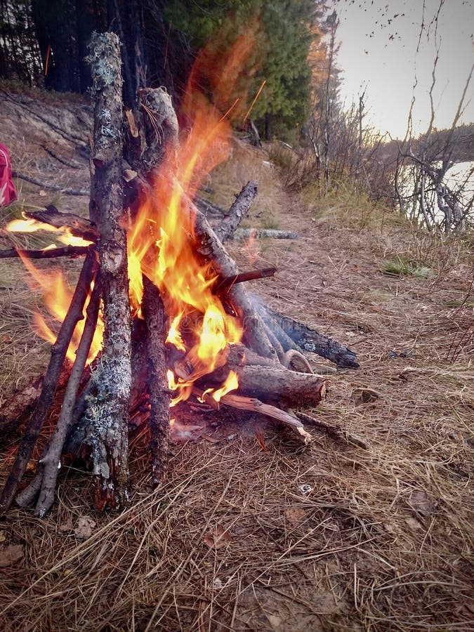Fire of Branches on the River Bank Stock Image - Image of adventure ...