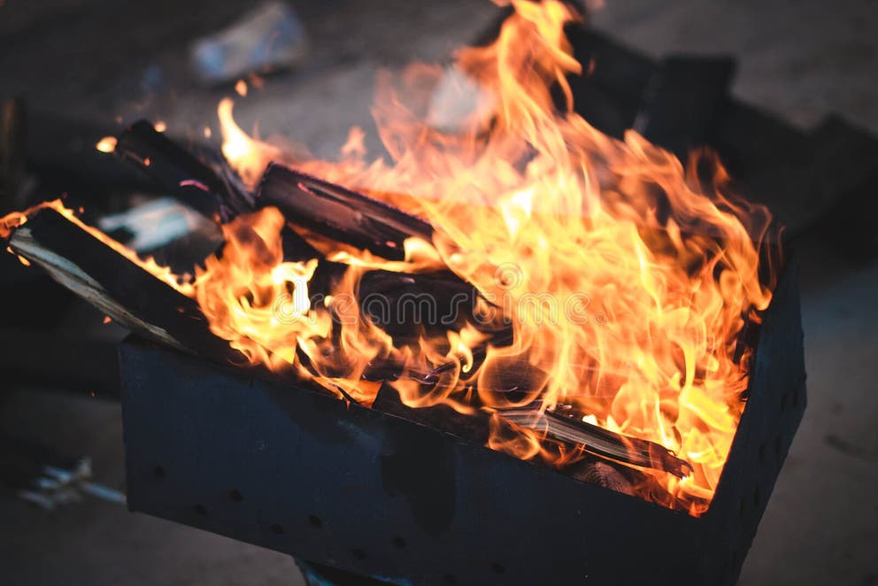 Fire. Brazier stock image. Image of spruts, wood, light - 79244361