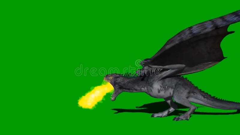 Fire Breathing Dragon Flying on Green Screen Stock Video - Video of ...