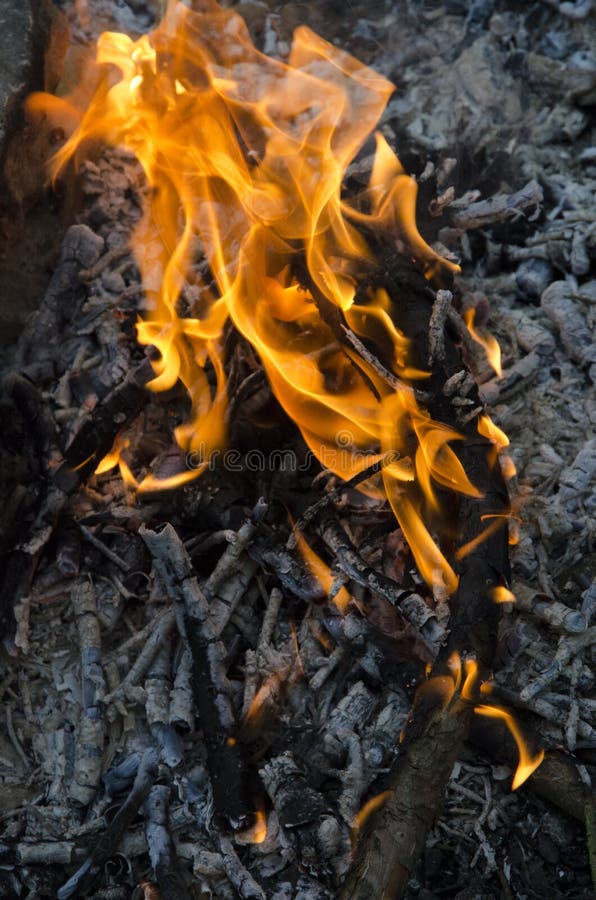 Fire stock image. Image of fire, nature, bright, open - 93287337