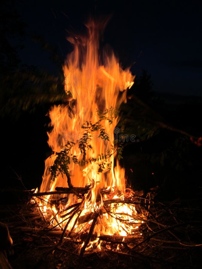 Fire stock image. Image of orange, spring, firewood, summer - 91665173