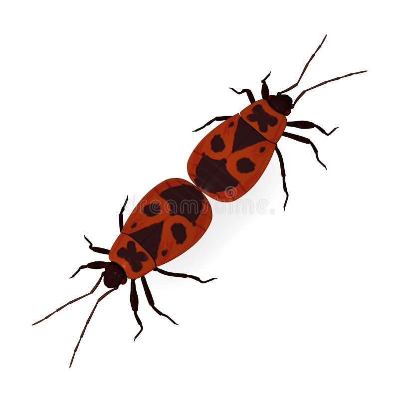 Fire Bug Stock Illustrations – 2,412 Fire Bug Stock Illustrations ...