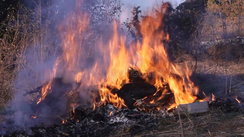 Burning a Pile of Garbage from Leaves and Dry Grass after Cleaning the ...
