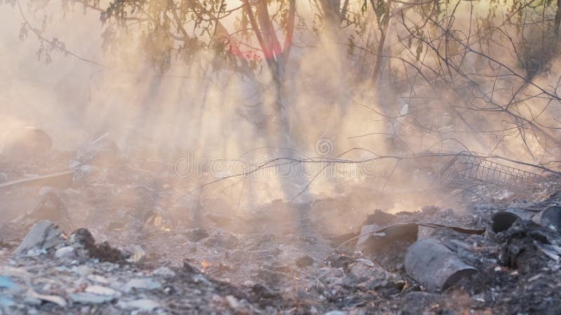Fire Burn Smoke Garbage Waste Disposal Plastic in Nature Polluted ... Fire Burn Smoke Garbage Waste Disposal Plastic in Nature Polluted ...