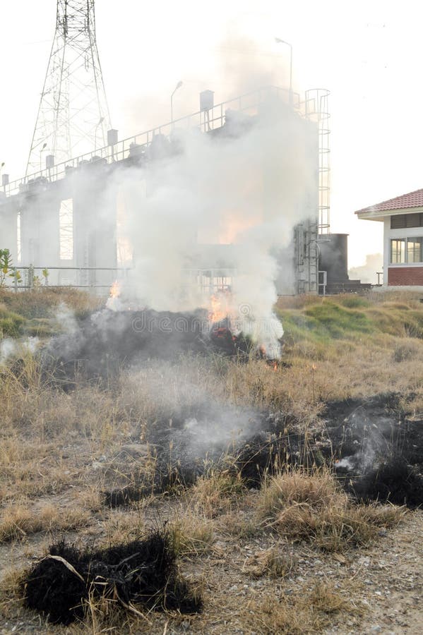 Fire burning ash in garden stock image. Image of coal - 127558051