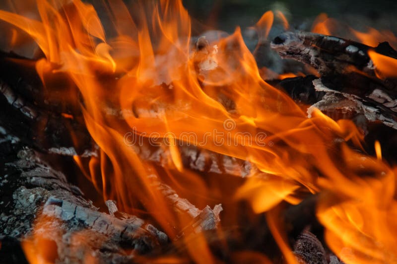 Fire. a Burning Fire. the Background is Made of Burning Wood Wood. You ...