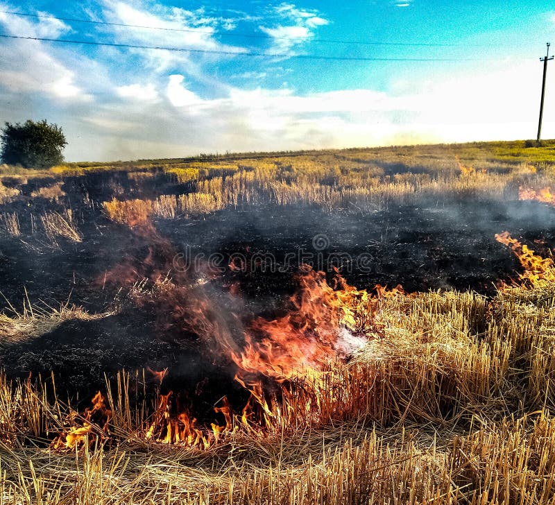 Fire burning stock photo. Image of nature, fire, beautiful - 152969420