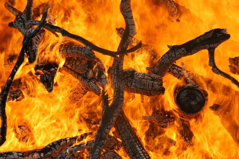 Fire. Burning branches stock image. Image of warmth, firewood - 59270469