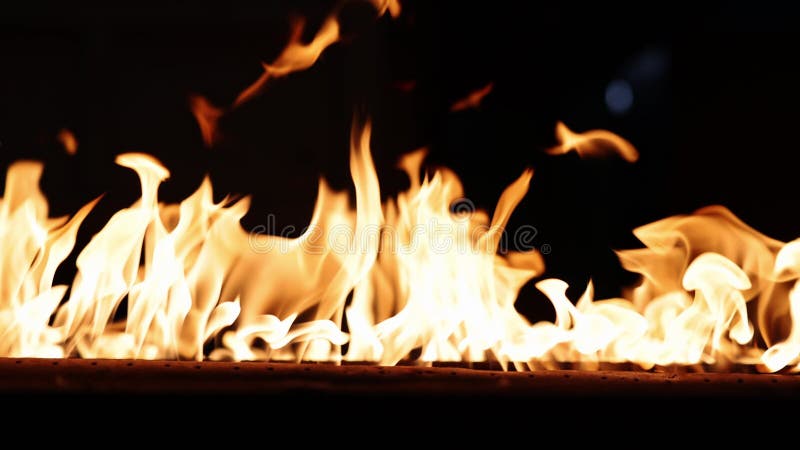 Fire Burning. Bright Burning Flames on a Black Background. Fire in Slow ...