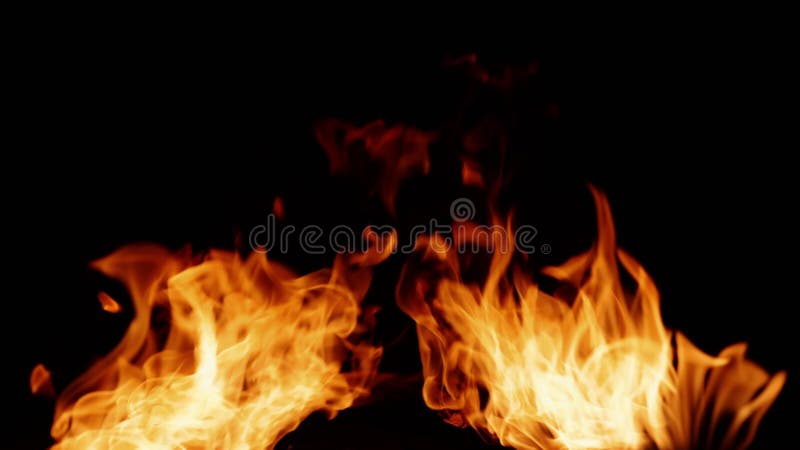 Fire Burning. Bright Burning Flames on a Black Background. Fire in Slow ...