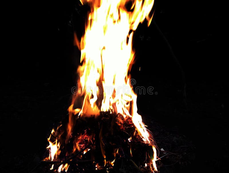 Fire Burning , Burning Dry Twigs Stock Photo - Image of yellow, fire ...