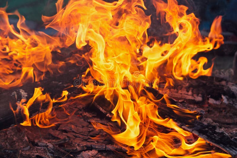 Fire stock image. Image of bonfire, dangerous, destroy - 3660475