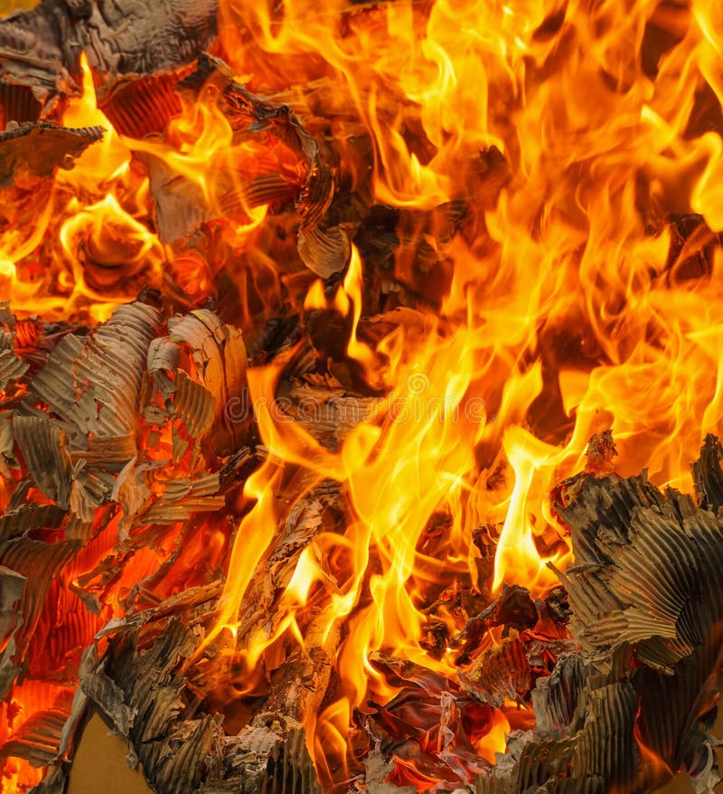 Fire of Burning Carton Paper Stock Photo - Image of bonfire, closeup ...