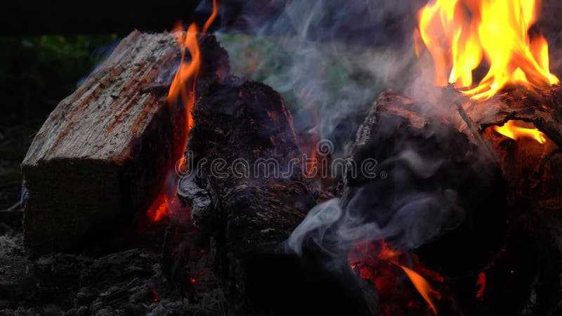 A Fire is Burning in a Clearing in the Forest, Smoke is Coming from the ...