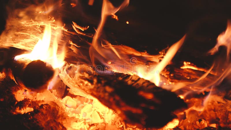 A Fire is Burning in a Clearing in the Forest, Smoke is Coming from the ...